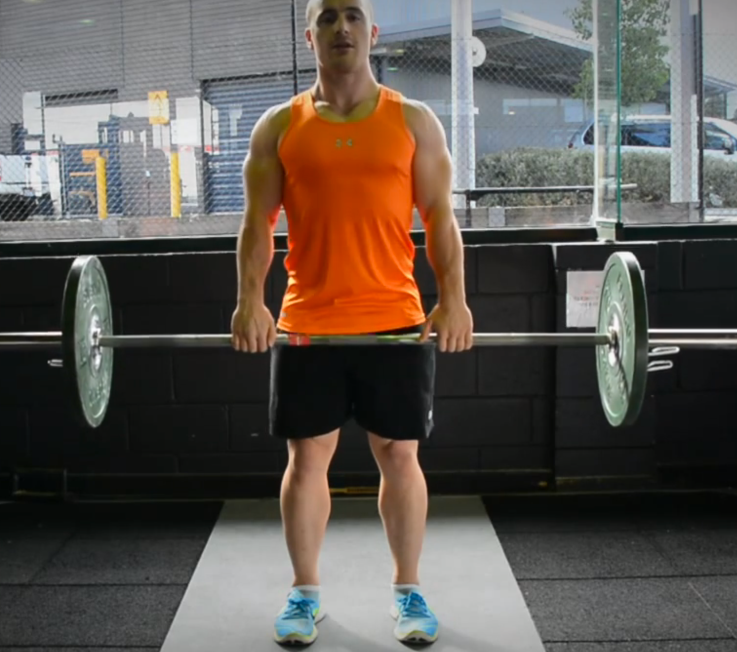 Traps - Barbell Shrug – Supps R Us