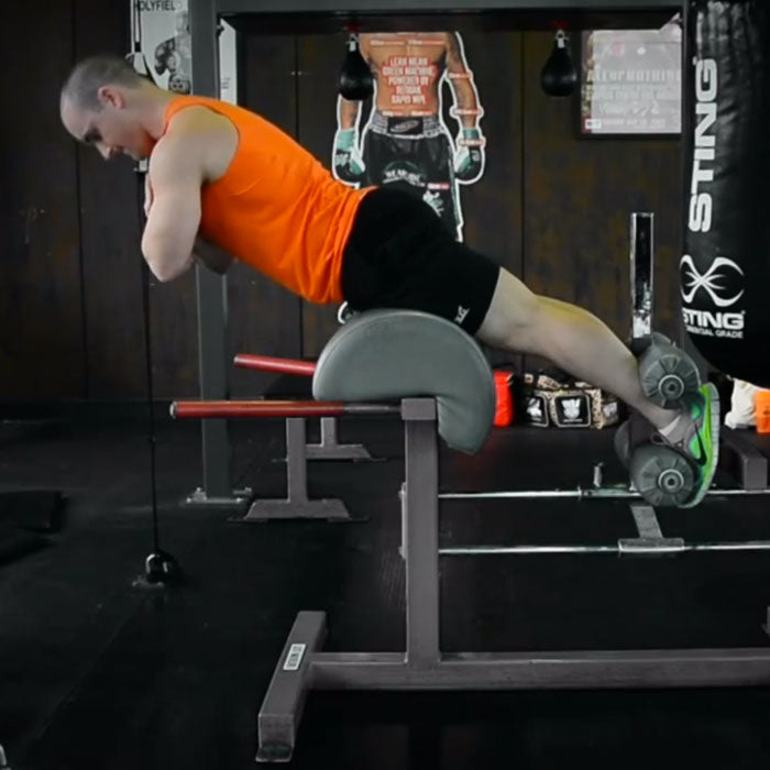 Lower Back - Back Raise\/ Back Extension – Supps R Us