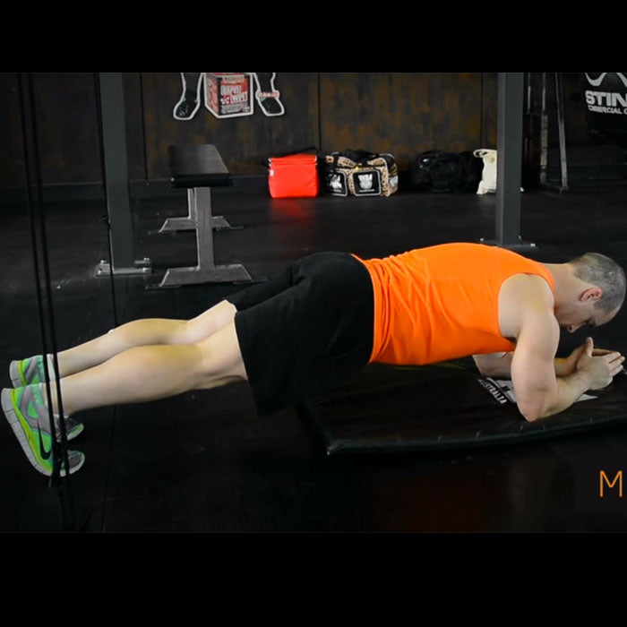 Abdominals - Plank – Supps R Us
